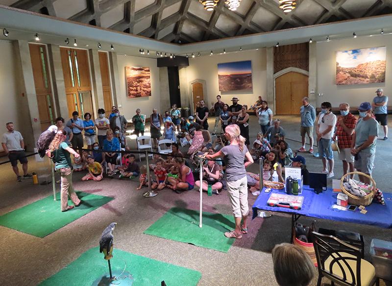 Denver Botanic Gardens Raptor Day 2023