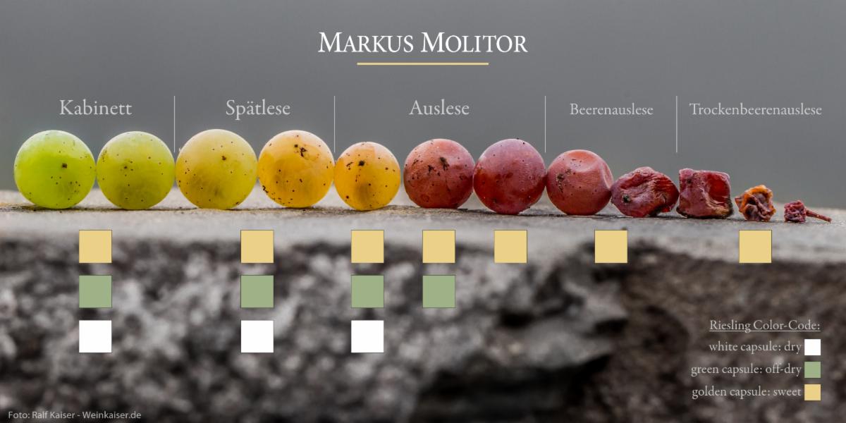 Markus Molitor | The Wizard of Mosel Riesling