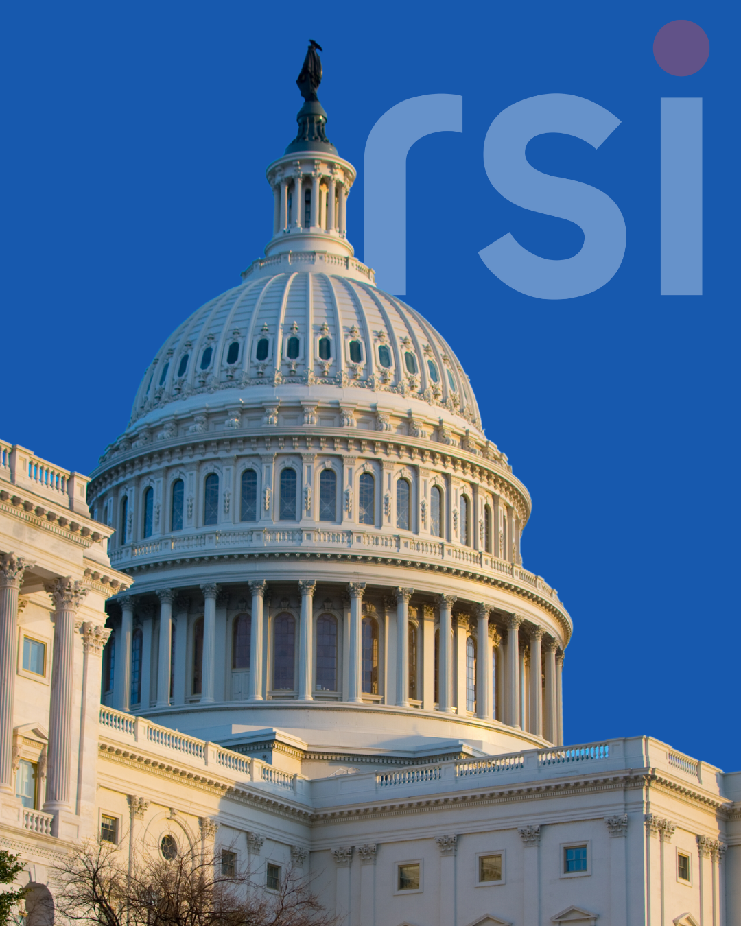 Introducing RSI's Solution Series