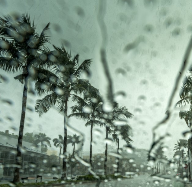 Disaster Alert - Alaska, Florida & Canada