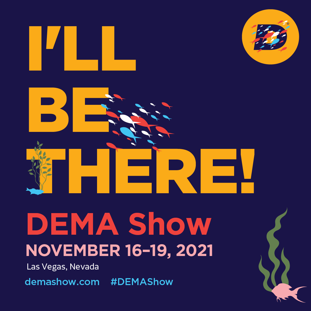DEMAIL || DEMA Show Online Education Starts Today!