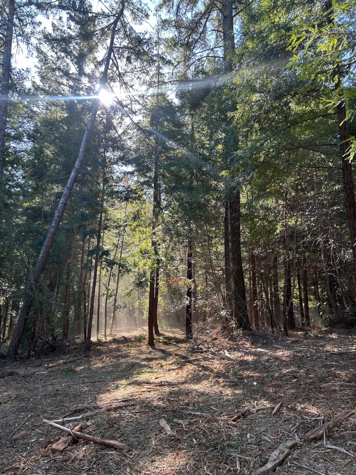 Fire Adapted Santa Clara County. All The Wildfire News You Can Use!