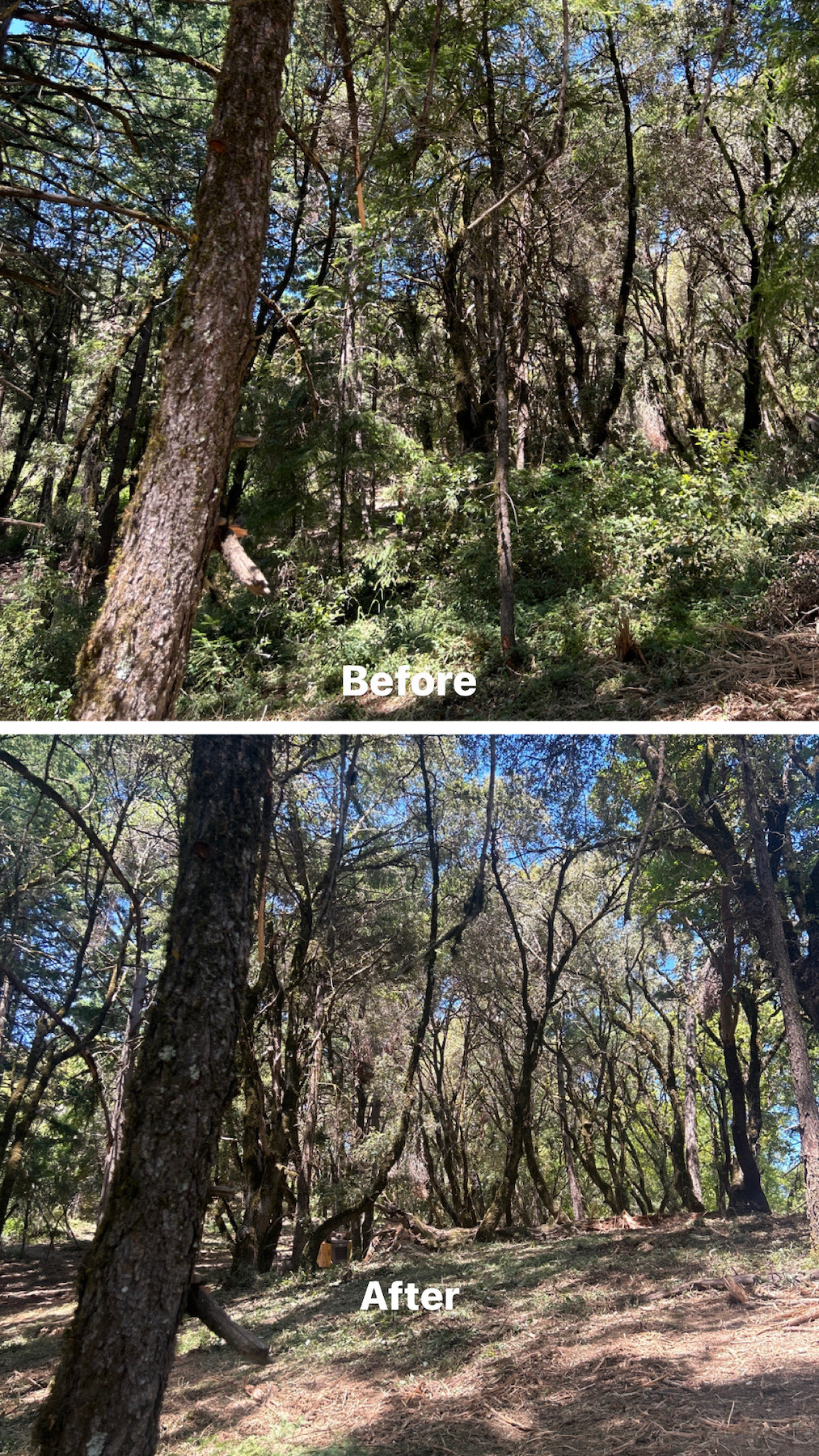 Fire Adapted Santa Clara County. All The Wildfire News You Can Use!