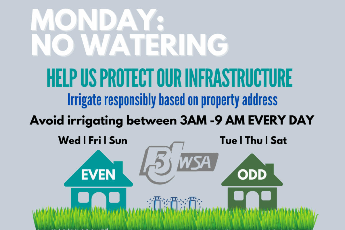 The latest news for you + what's happening in June