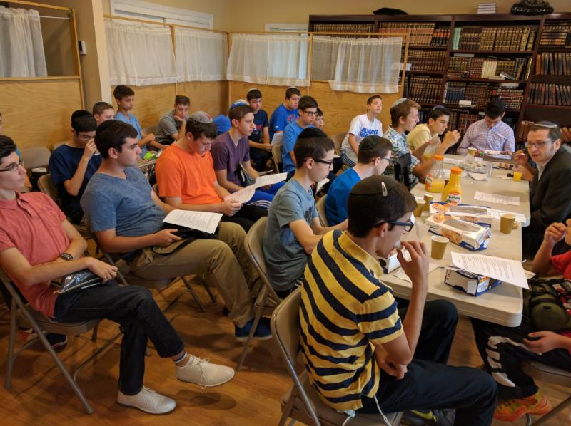 A Lion's Life - Shoftim