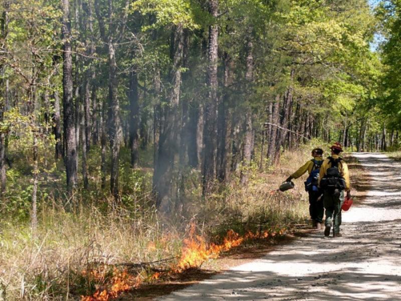 #BurnAlerts - PRESCRIBED FIRE ~ 3 miles SE of Blue Ridge, Ga.