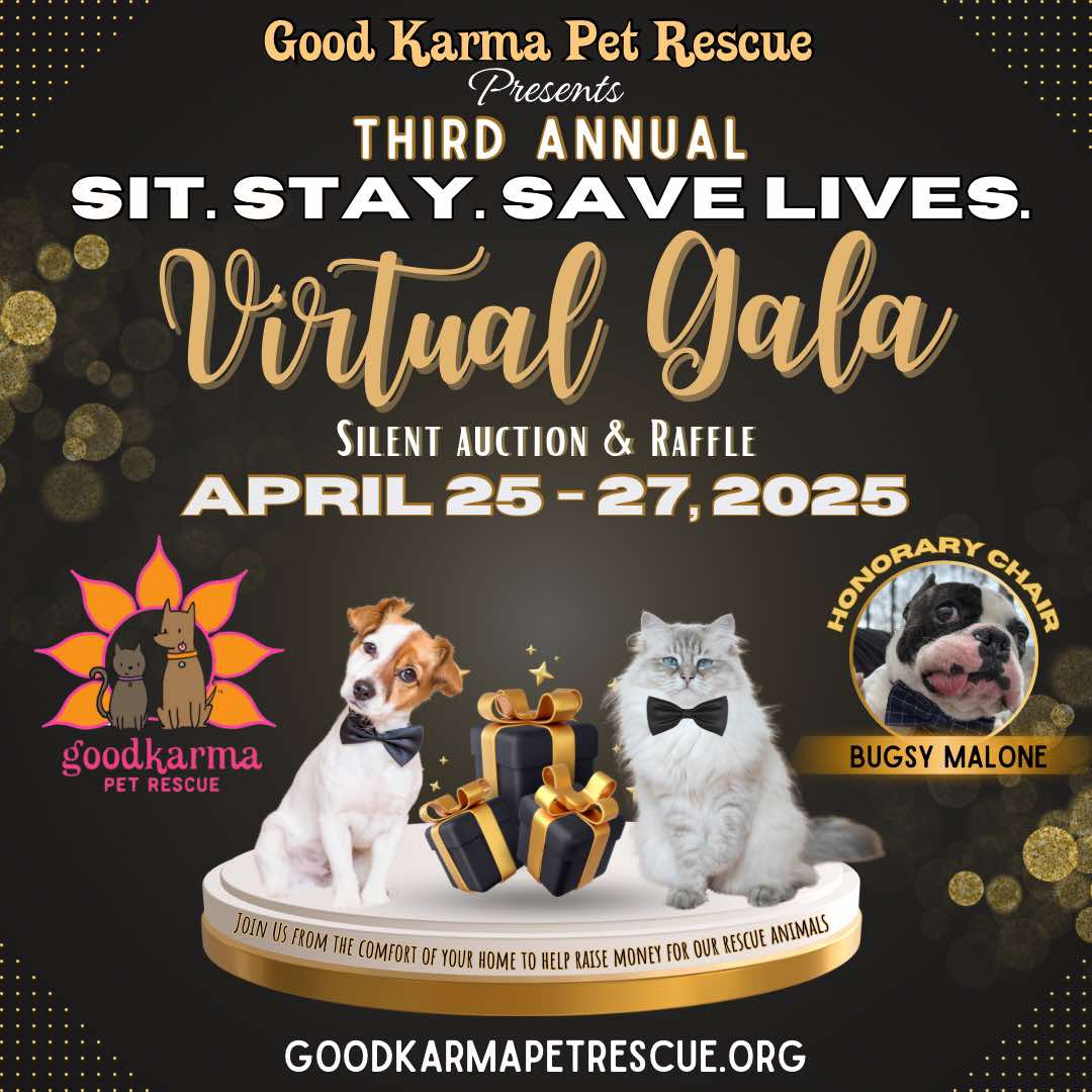 Third Annual Sit Stay Virtual Gala