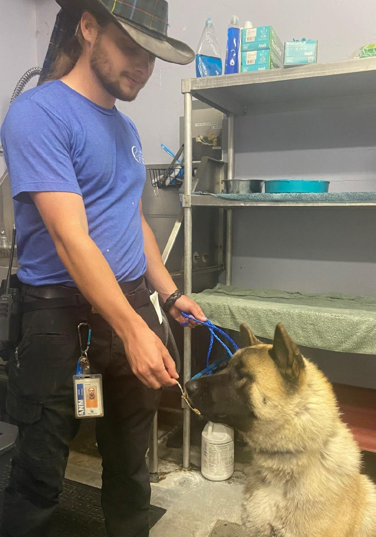 VCAS Volunteer Newsletter for June