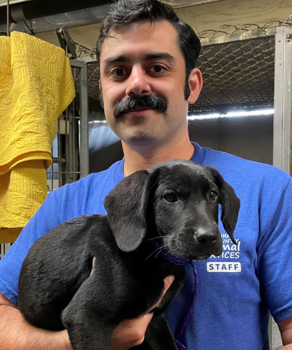 VCAS Volunteer Newsletter for June