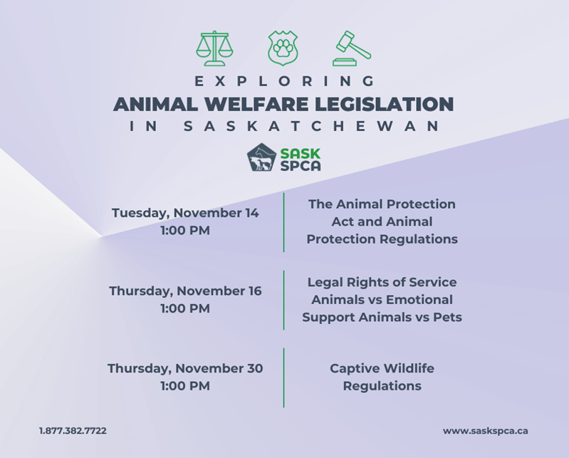 Download Talking Stick and more!