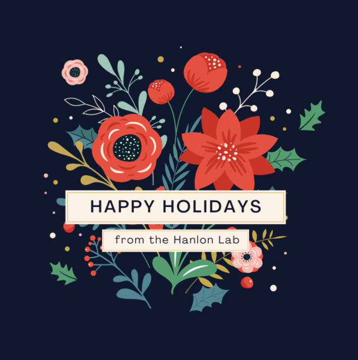 December Newsletter of the Hanlon Center