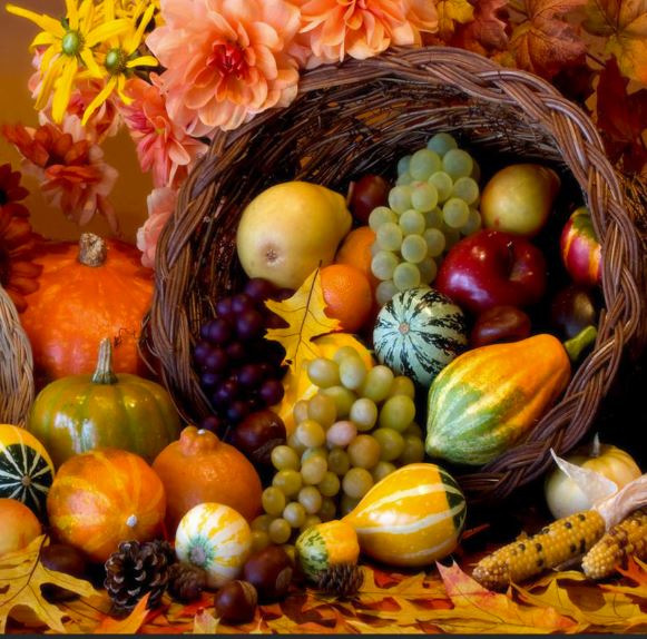 November Joy of the Family E-newsletter