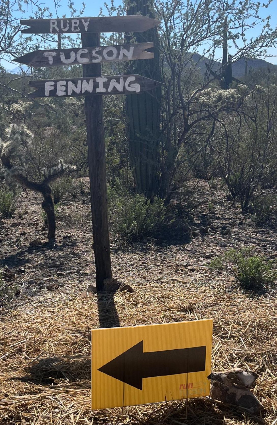 Race Week Details for February 22nd TMC Old Tucson Trail Run