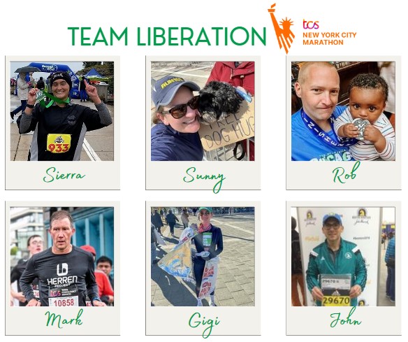 New! August Newsletter from Liberation Programs