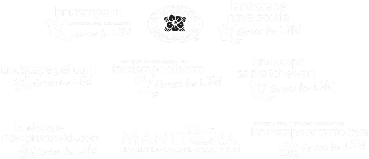 Updated GM Discount Program