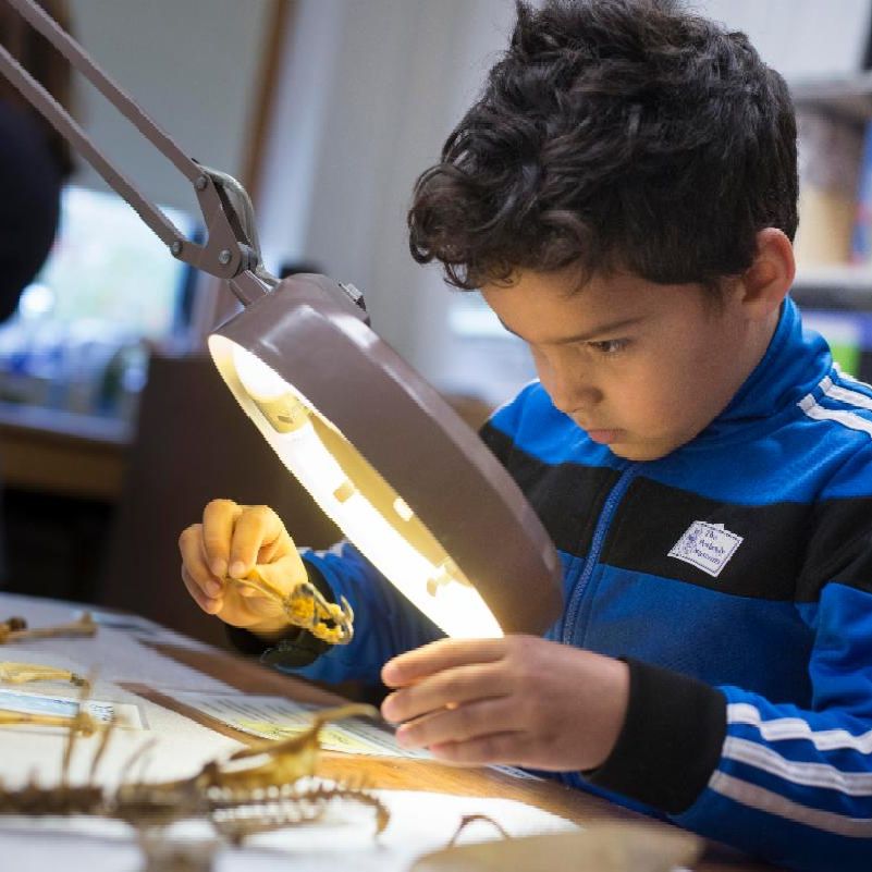 Light up the museum | Divine mortals | The Groundbreaker