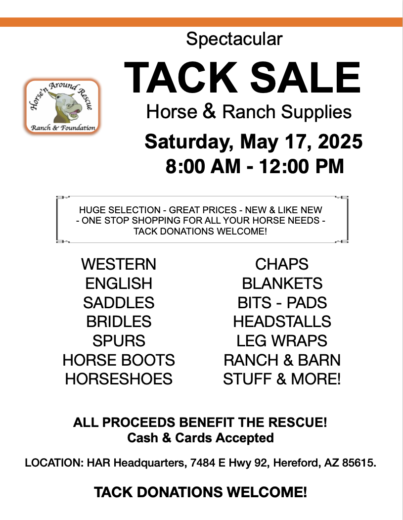 Need Volunteers to Feed | Rodeo Recap | Ready for Adoption | Raffle Winners