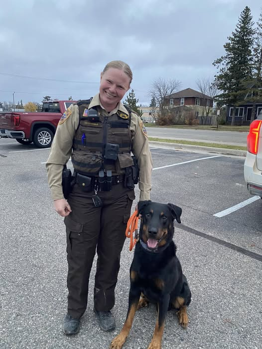 ASF January 2025 Updates