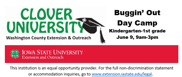 Buggin' Out Day Camp