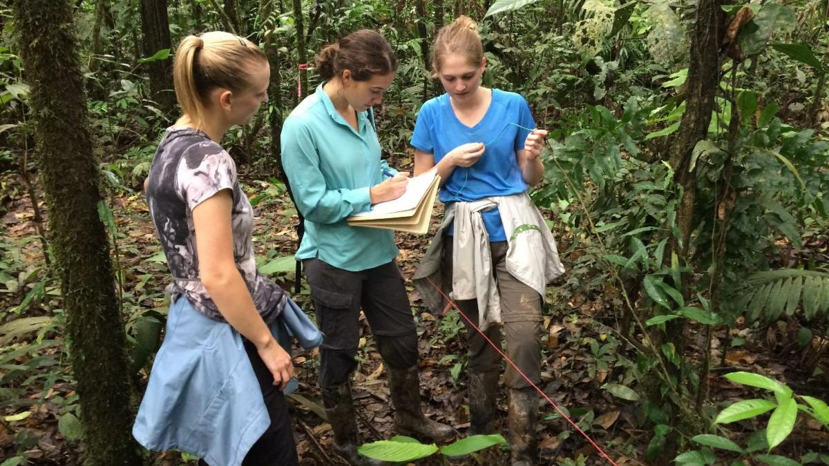 Cal Poly SLO Due Date for Winter and Spring 2023 programs applications ...