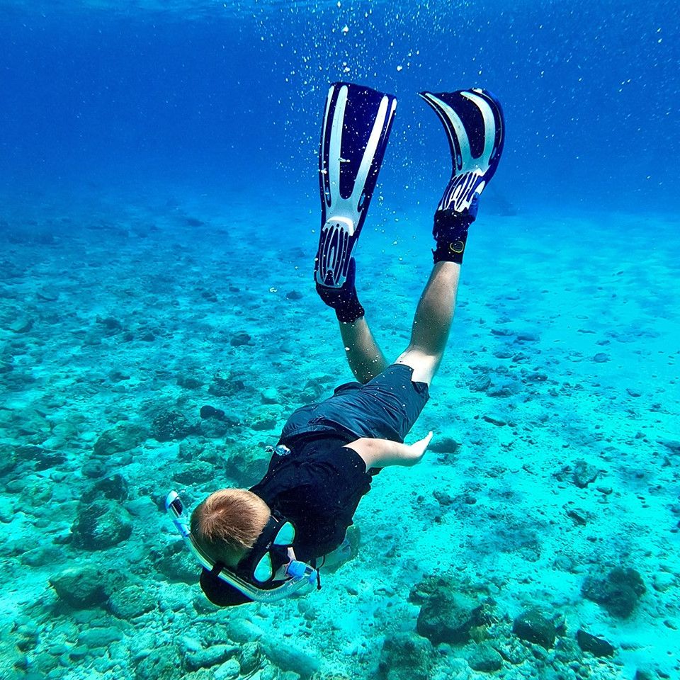 Cal Poly SLO Due Date for Winter and Spring 2023 programs applications ...