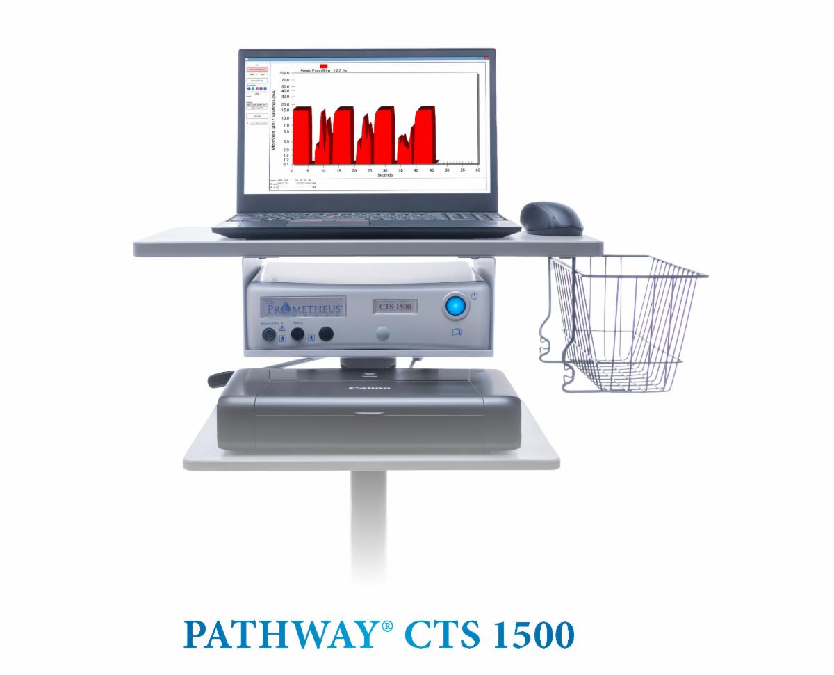 Pelvic Muscle Rehabilitation