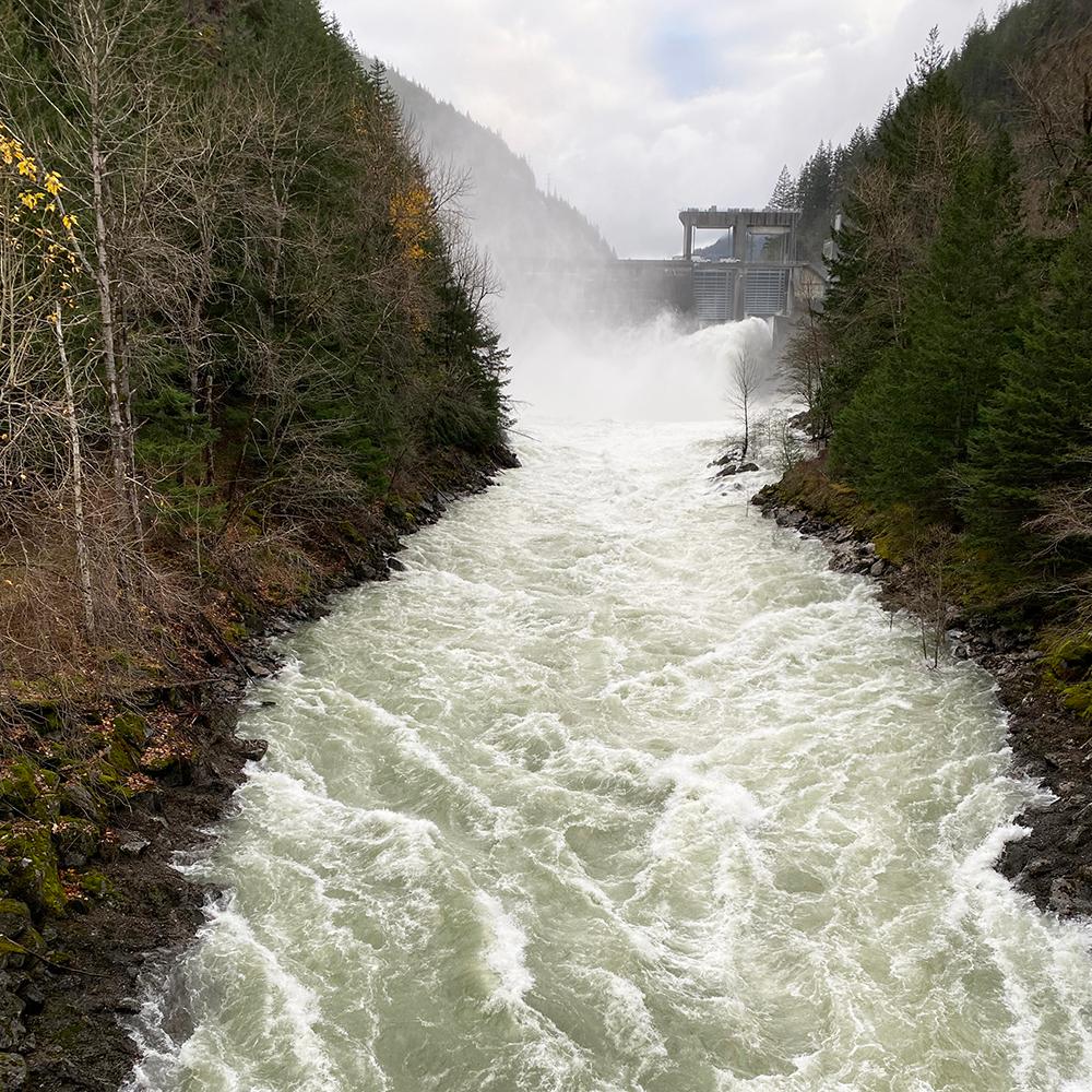 December 2021 Skagit Relicensing News