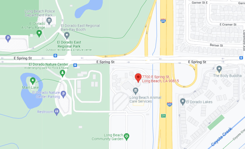 Now Introducing the LBACS Happy Tails Newsletter