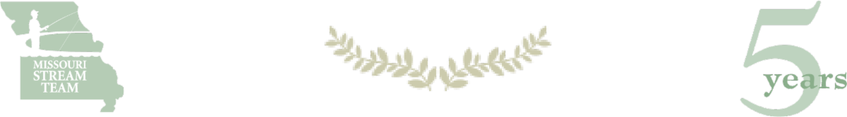 Stream Team Five Year Certificate