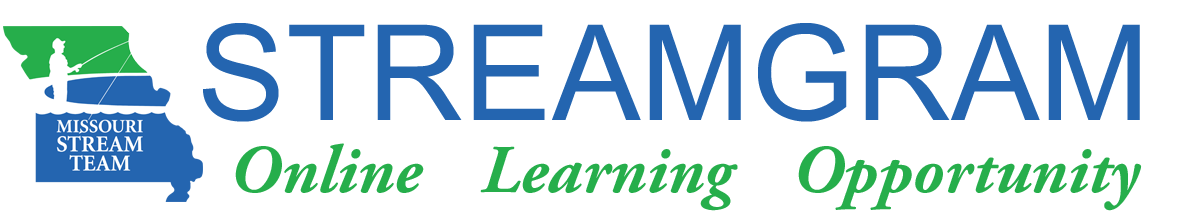 StreamGram: Introduction to Stream Teams United