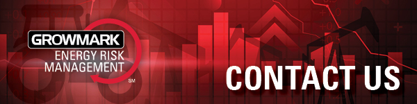 Energy Risk Management Contact Us