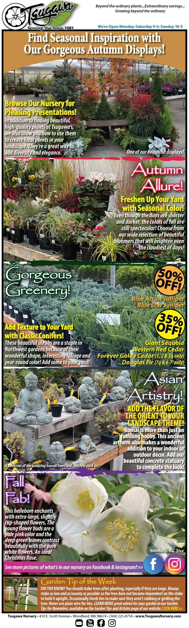 Find Seasonal Inspiration with Our Gorgeous Autumn Displays!