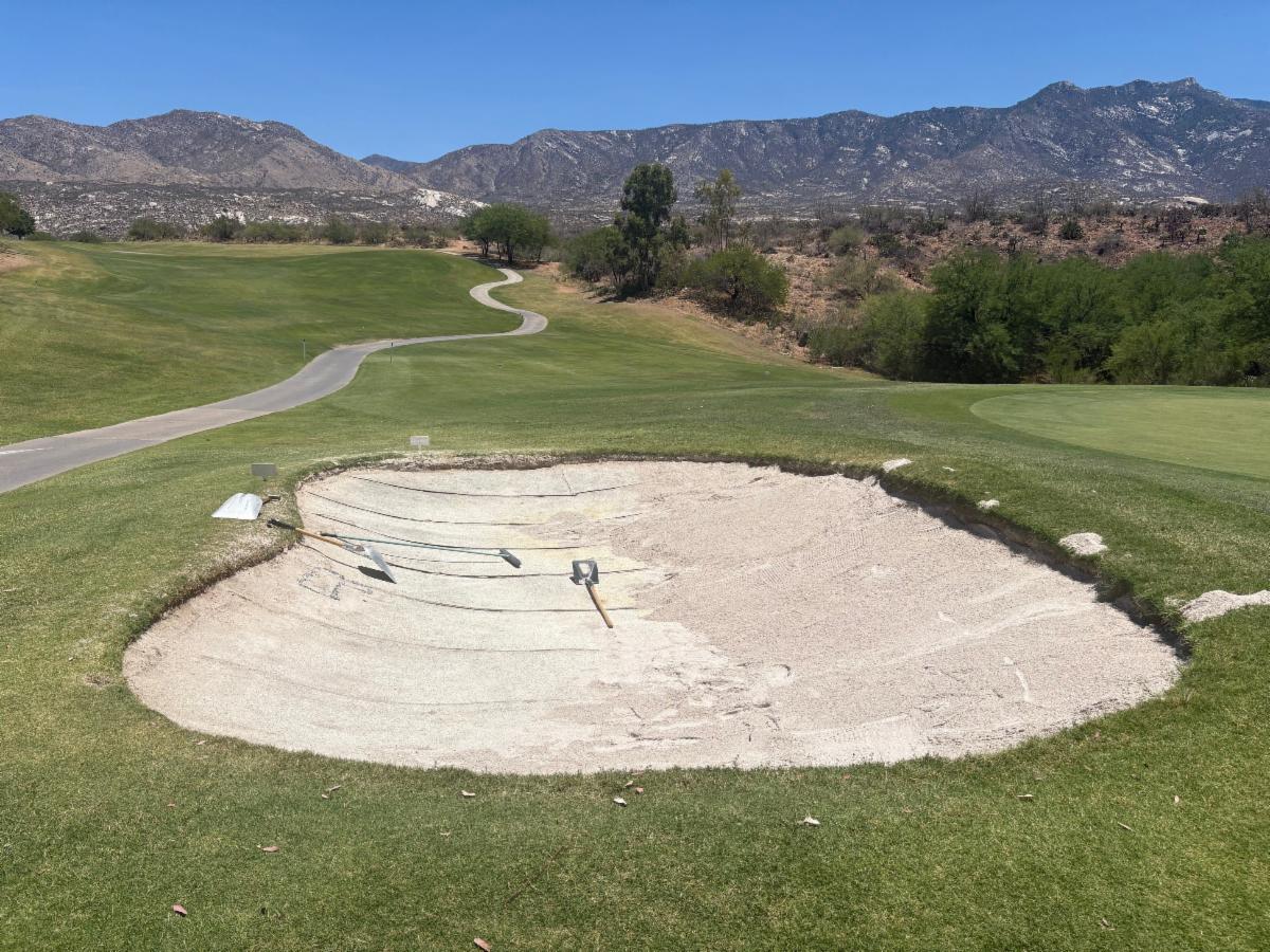 News From the Fairways