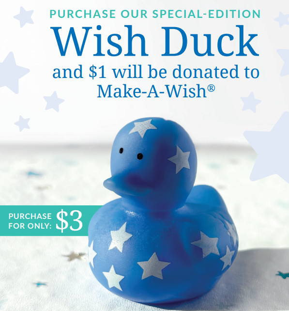 2025 Make-A-Wish Campaign Overview