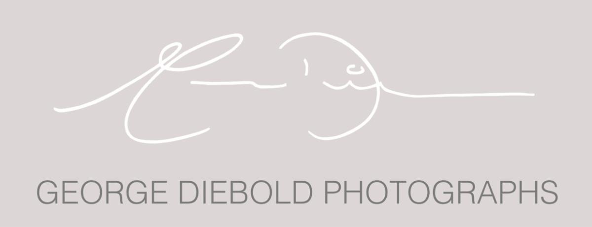 Picture This with George Diebold Photographs