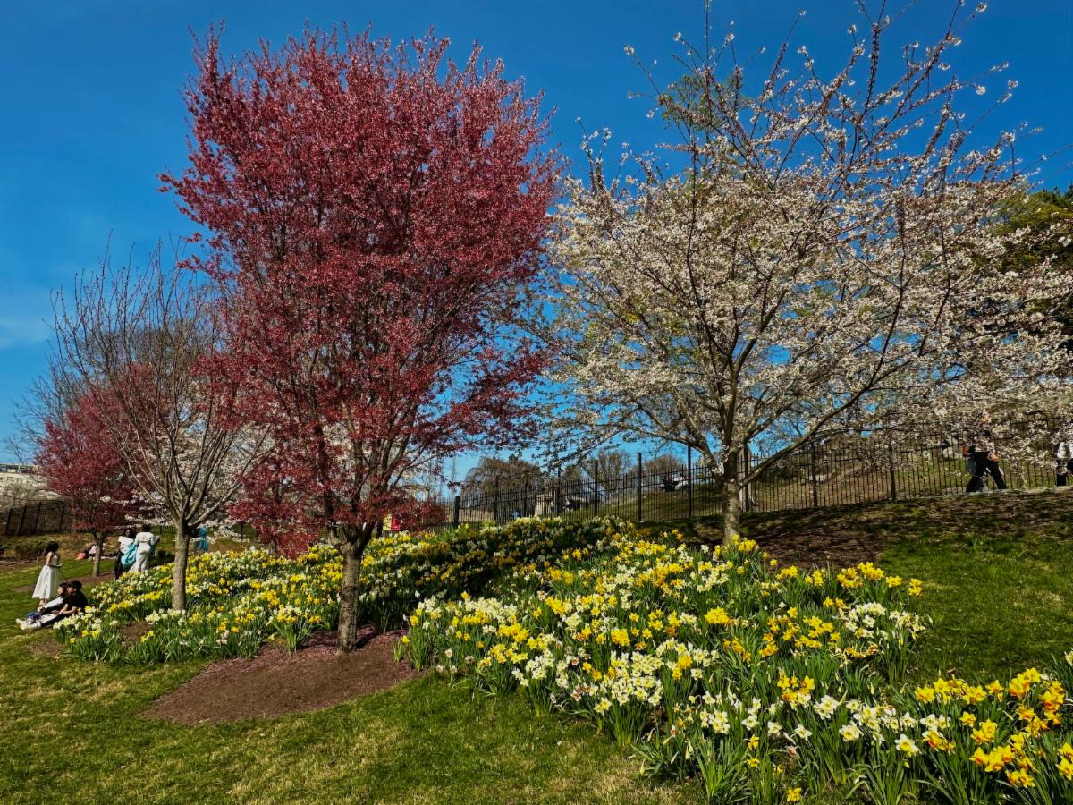 Closely Guarded Secret