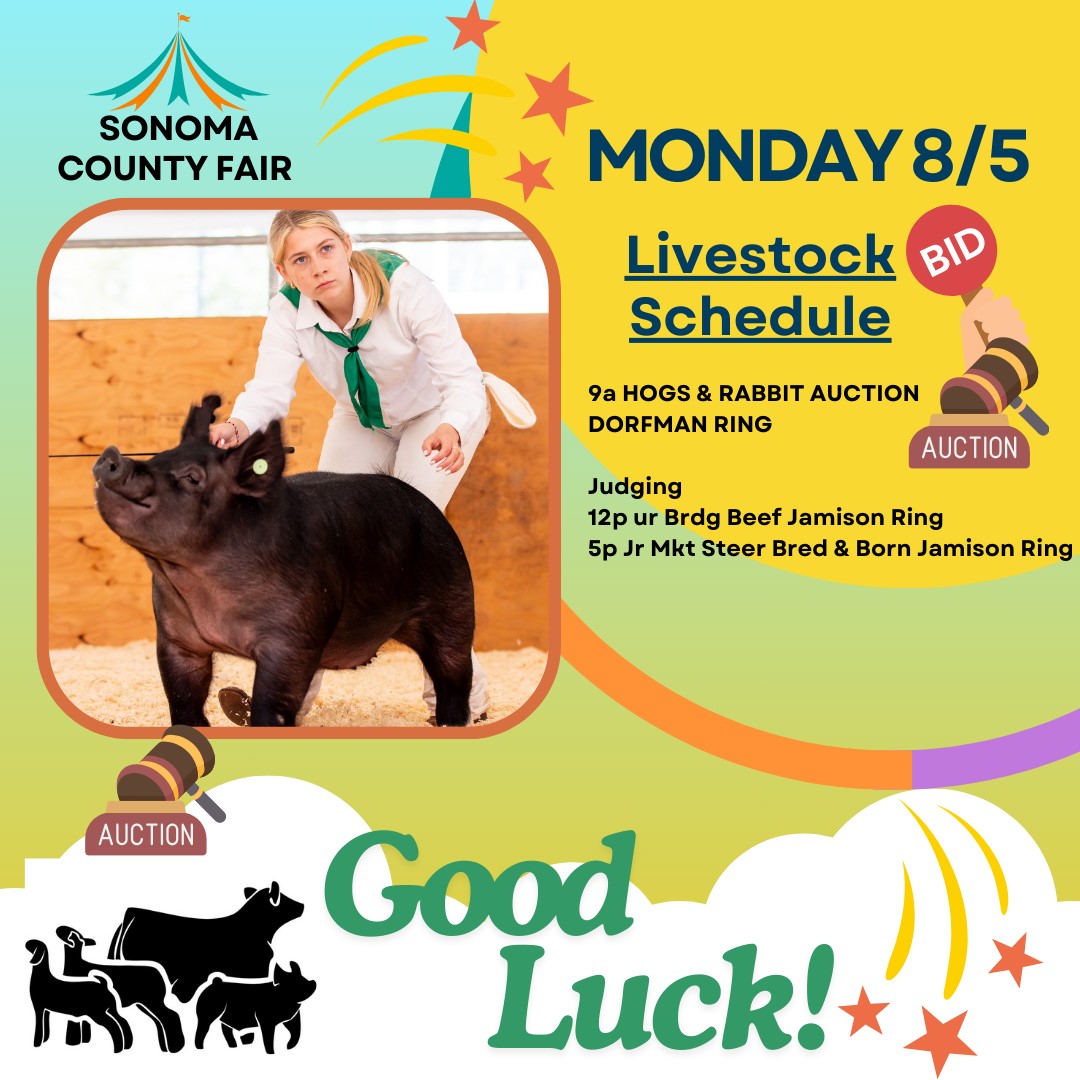 August 2024 4-H Reporter Newsletter