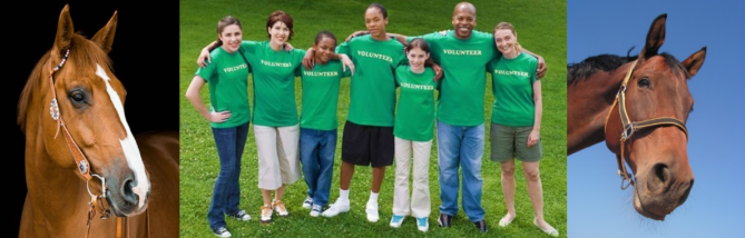 August 2021 4-H Reporter Newsletter