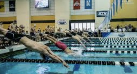 Michigan Swimming Newsletter