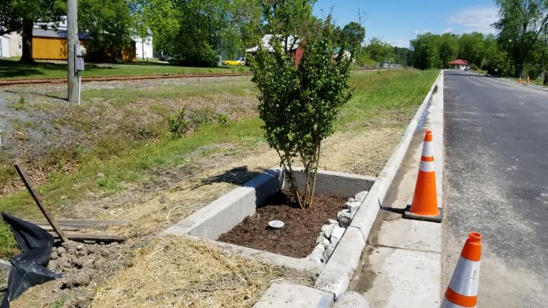 ACF Environmental May Newsletter!