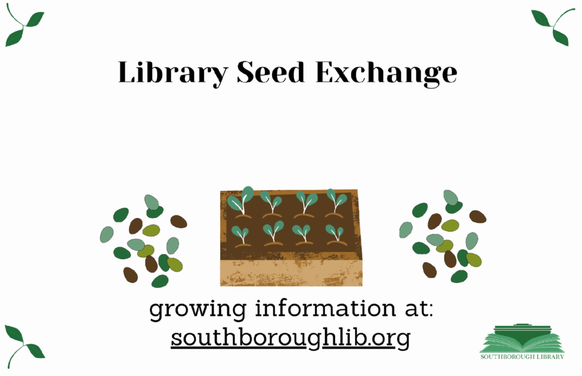 Summer Seed Exchange 2022