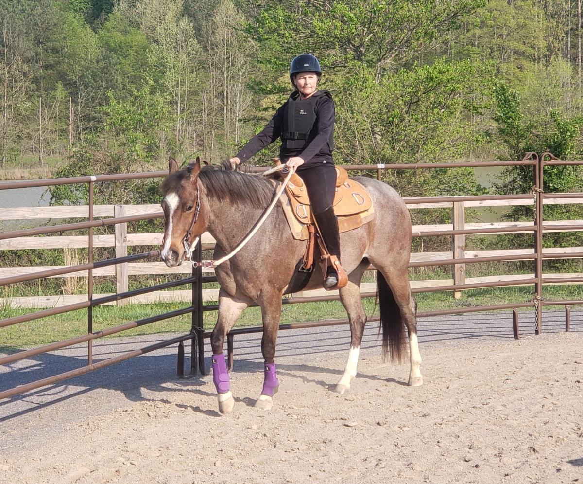 Goodbye To My Horse, Montana