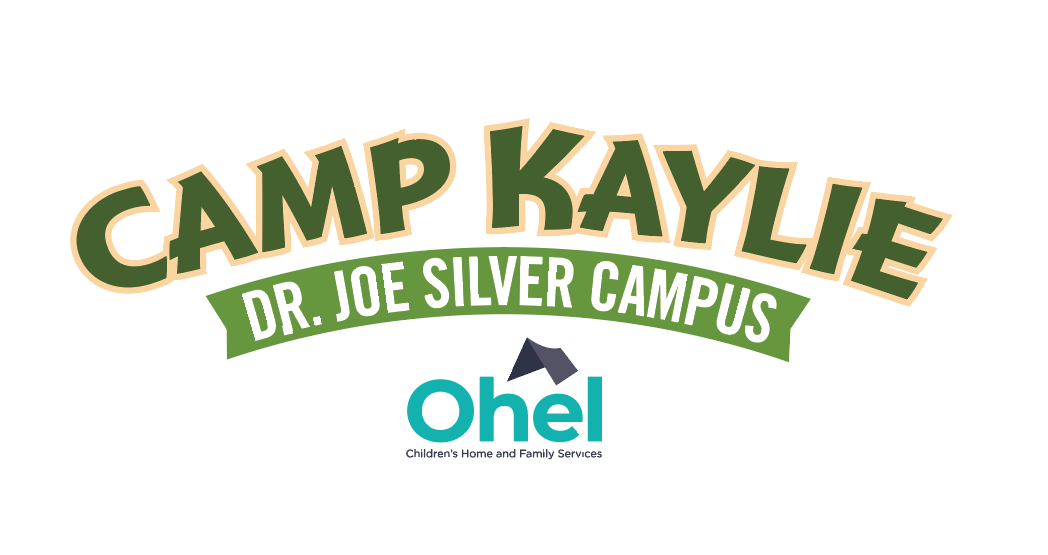 Lessons from the Frontlines: Finding Your Resilience Zone- Presented by ...