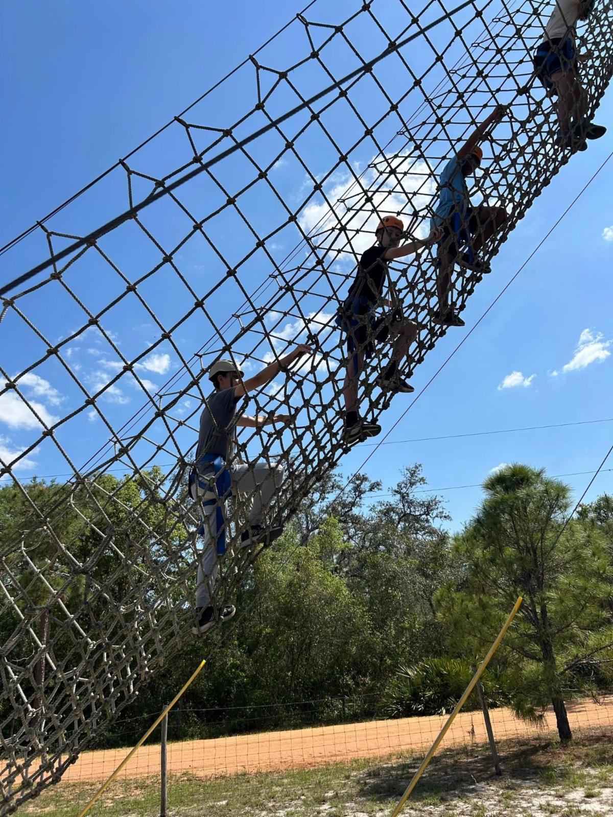 Your weekly source for all things HT