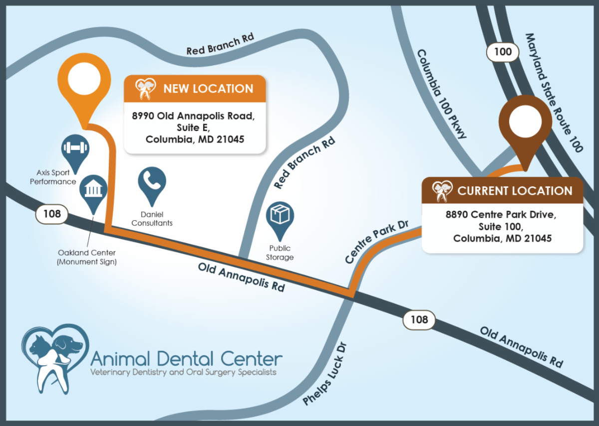 New Location. New Anesthesiologist. Big Things Ahead.