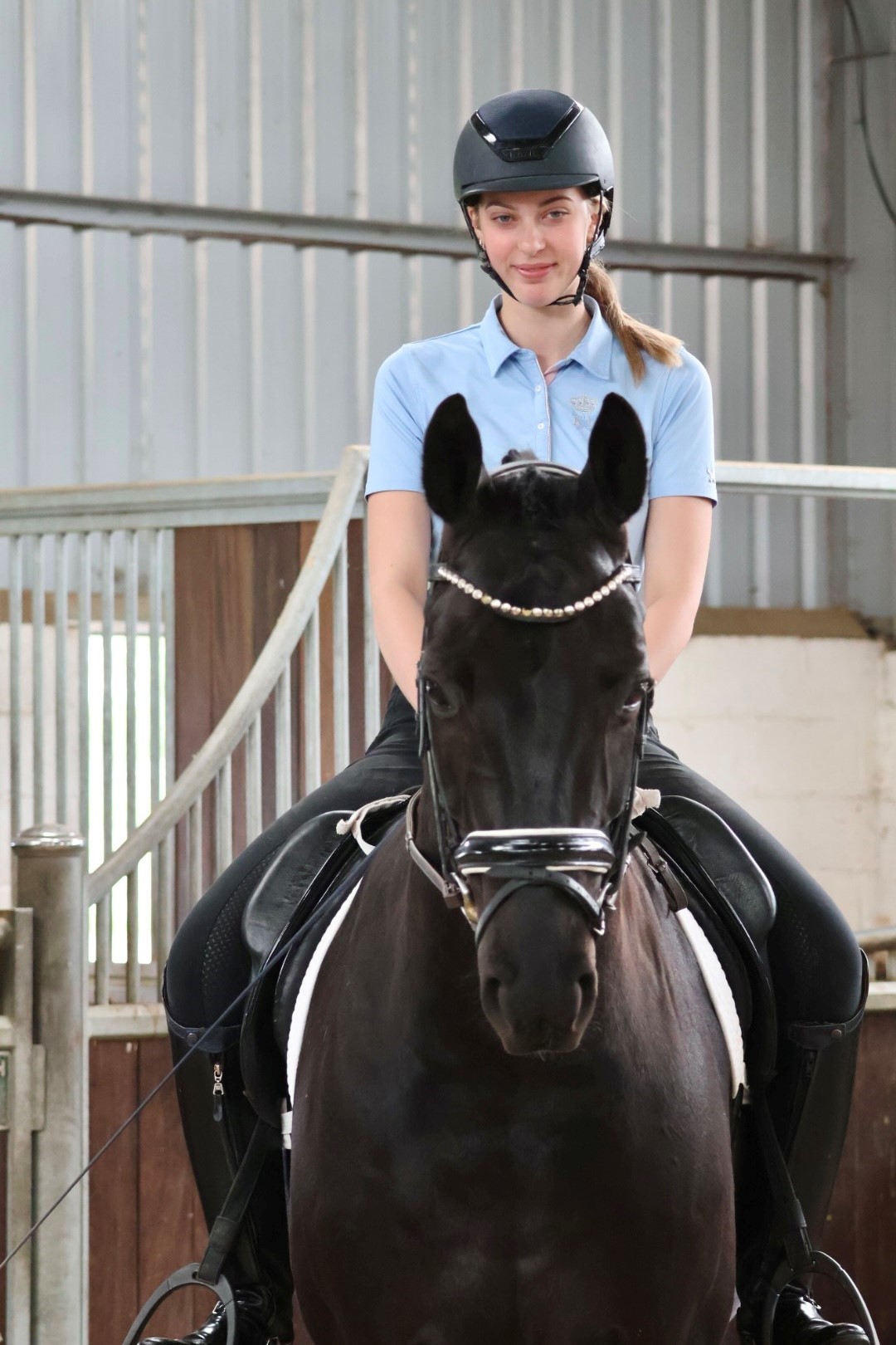 Stunning Black Gelding - Super Junior Horse