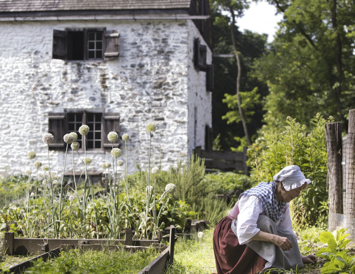 Special Edition: The Dark History of Medical Experimentation on African ...