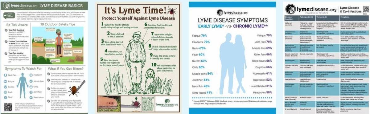 Best treatment for chronic Lyme?