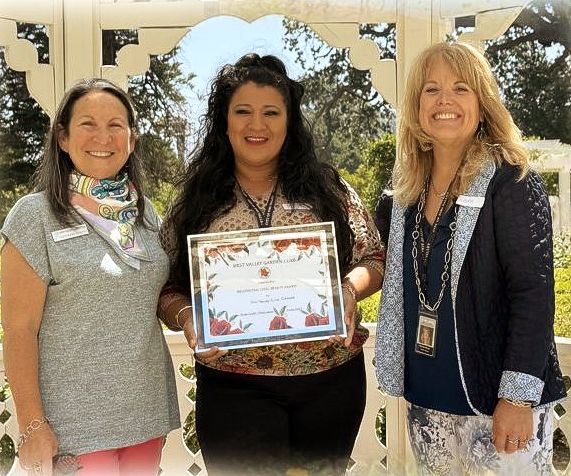 July City Focus Newsletter