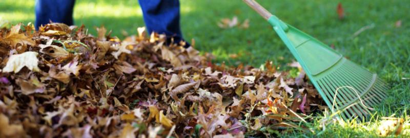 The Starter Newsletter - Kettering's Top Things to Know - October 2022